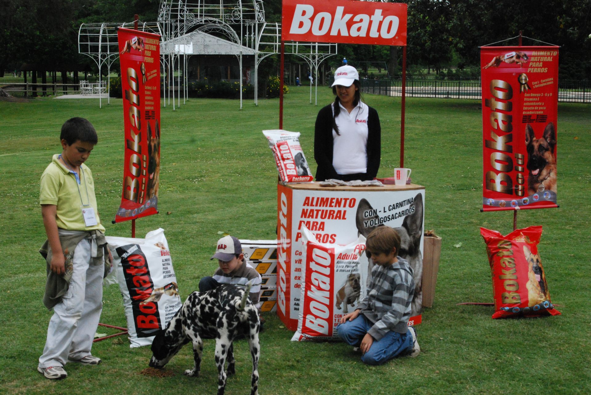 Alimentación Natural | Super Premium para Perros en Chile