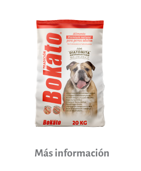 Bokato Chile | Alimento Super Premium Natural para Perros