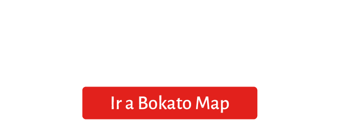 Alimento Completo Super Premium para Perros Adultos | Bokato Gold