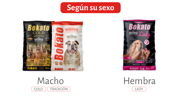 Alimento Completo Super Premium para Perros Adultos | Bokato Gold
