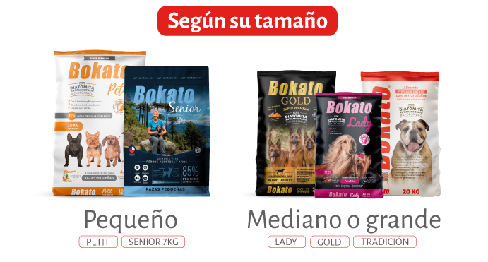 Alimento Completo Super Premium para Perros Adultos | Bokato Gold